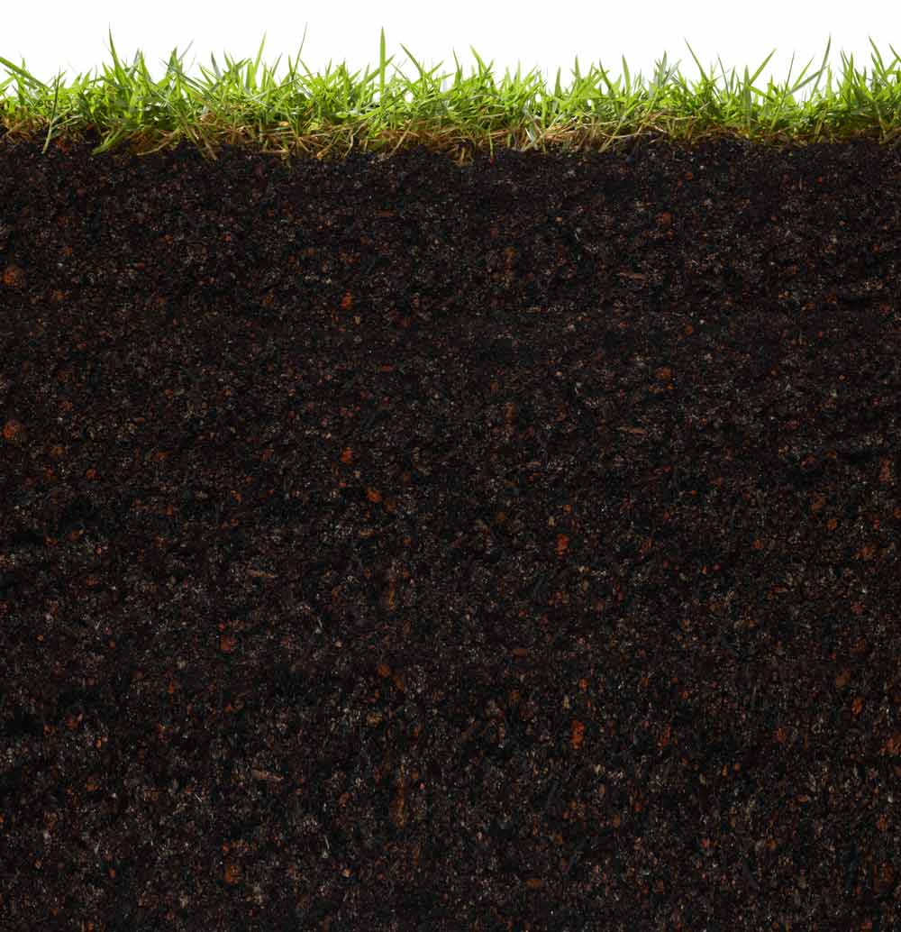 soil-cross-section-square-1000×1034 | 21st Century